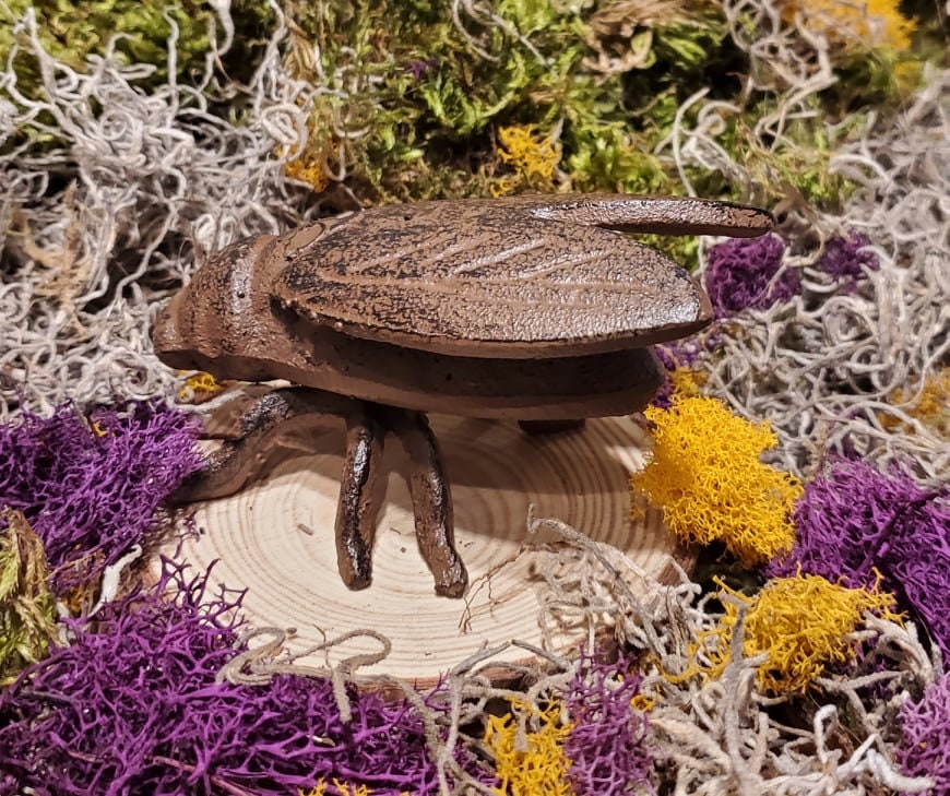 Brown Cast Iron Cicada Insect Home Garden Yard Lawn Outdoors Patio Art ...