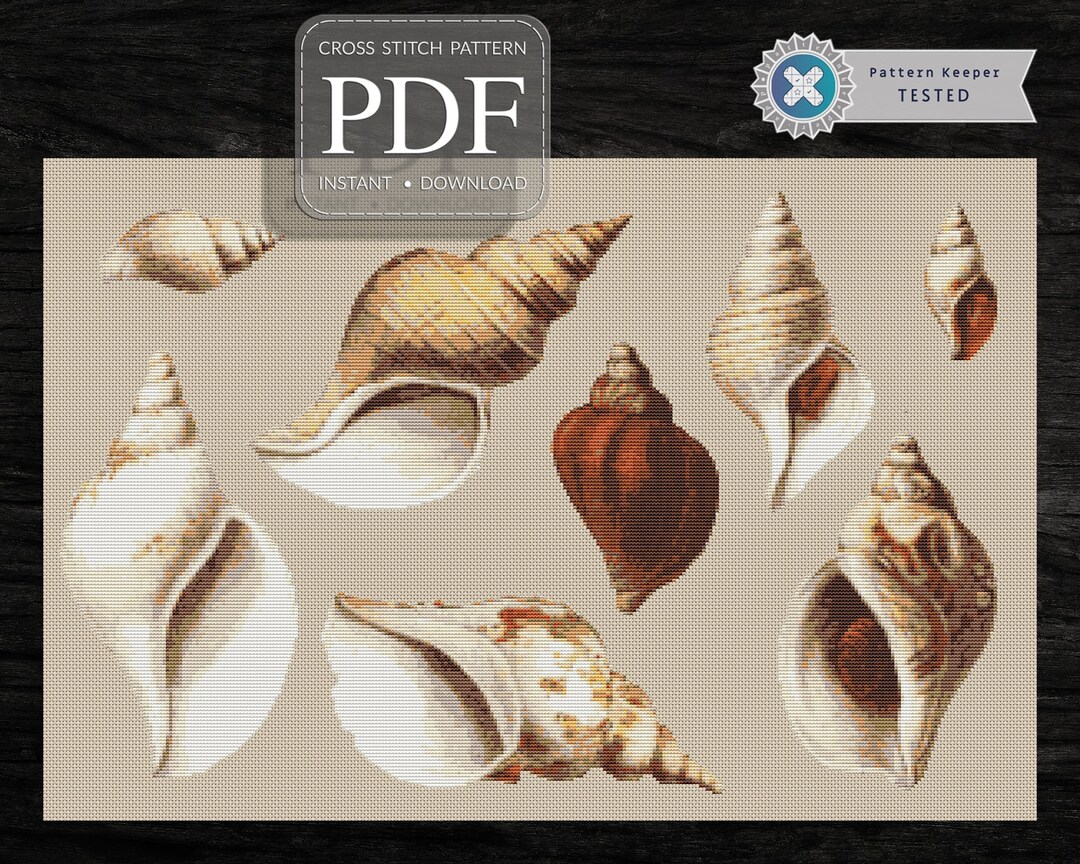 CONCH COLLECTION, Conch Shell, Shell Collection, Shell, Shells, Modern ...