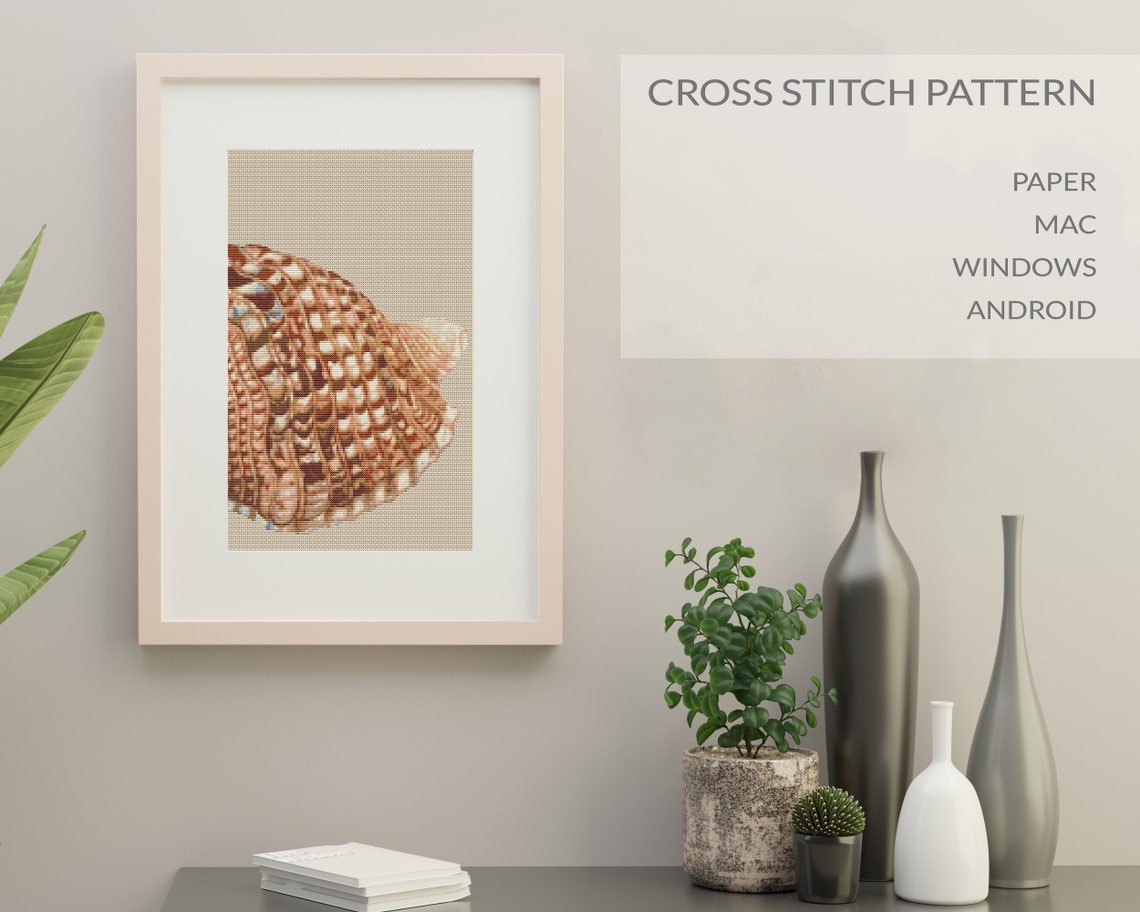 SNAIL SHELL, Shell, Shells, Snail Shell, Cross Stitch Designs With ...