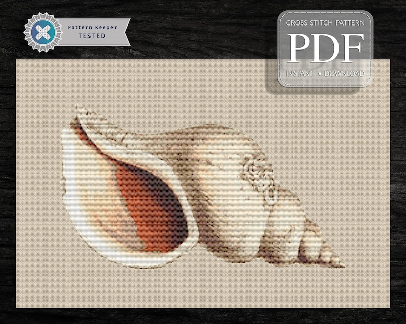 CONCH Conch Shell Counted Chart Pdf Download Charts Cross - Etsy