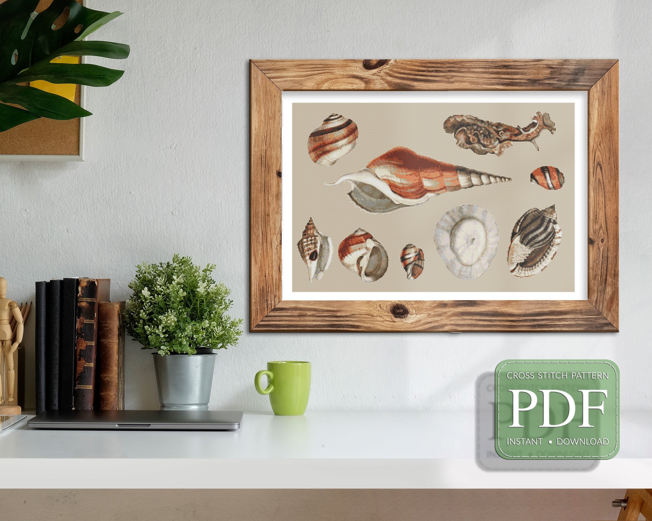 SHELL SPECIES, Shell, Shells, Instant Download, Cross Stitch Chart ...