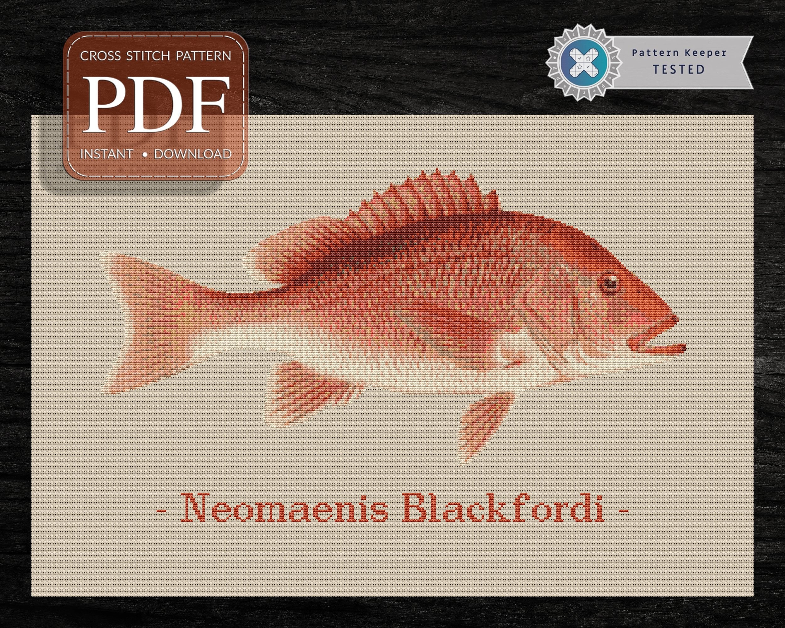 RED SNAPPER, Snapper, Fish, Food Fish, Cross Stitch Designs With Graphs ...