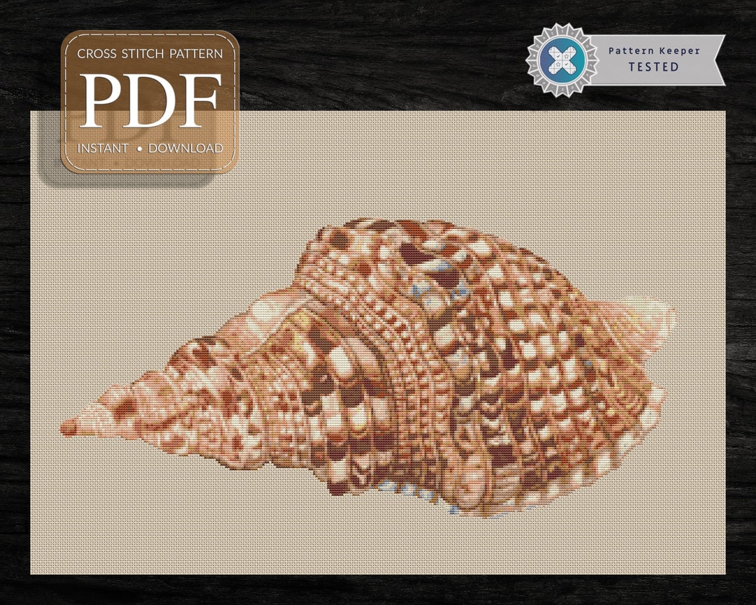 SNAIL SHELL, Shell, Shells, Snail Shell, Cross Stitch Designs With ...