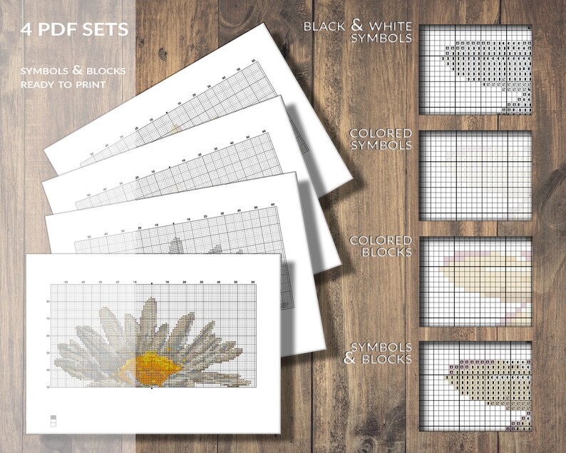 OXEYE DAISY - Cross Stitch Pattern Pdf, Instant Download, Realistic ...