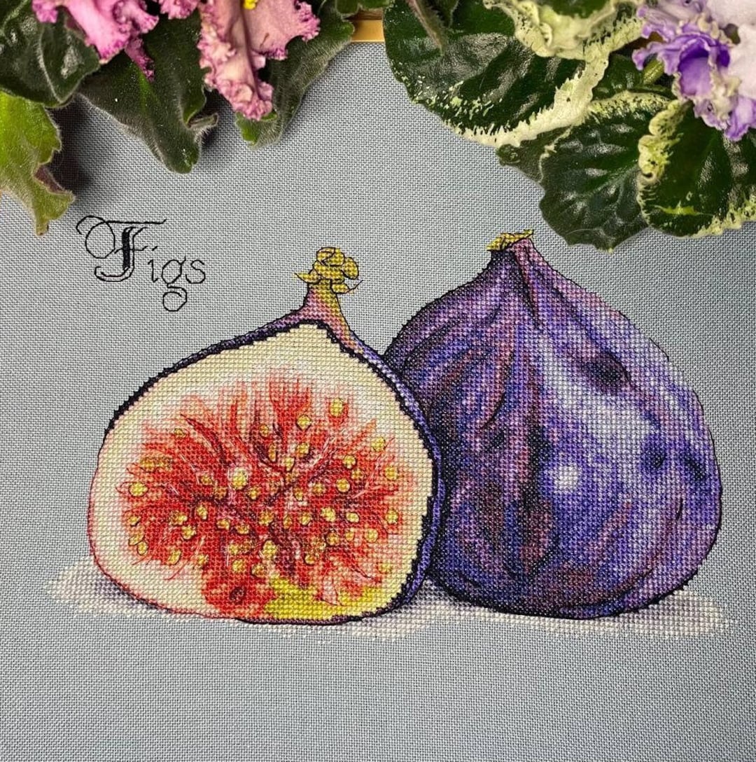 Figs Fruit Cross Stitch Pattern. Kitchen Cross Stitch Digital - Etsy