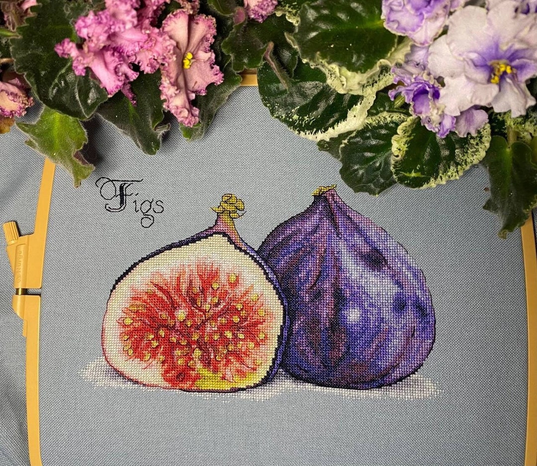 Realistic Figs Cross Stitch Pattern: Kitchen Fruit Embroidery (digital ...