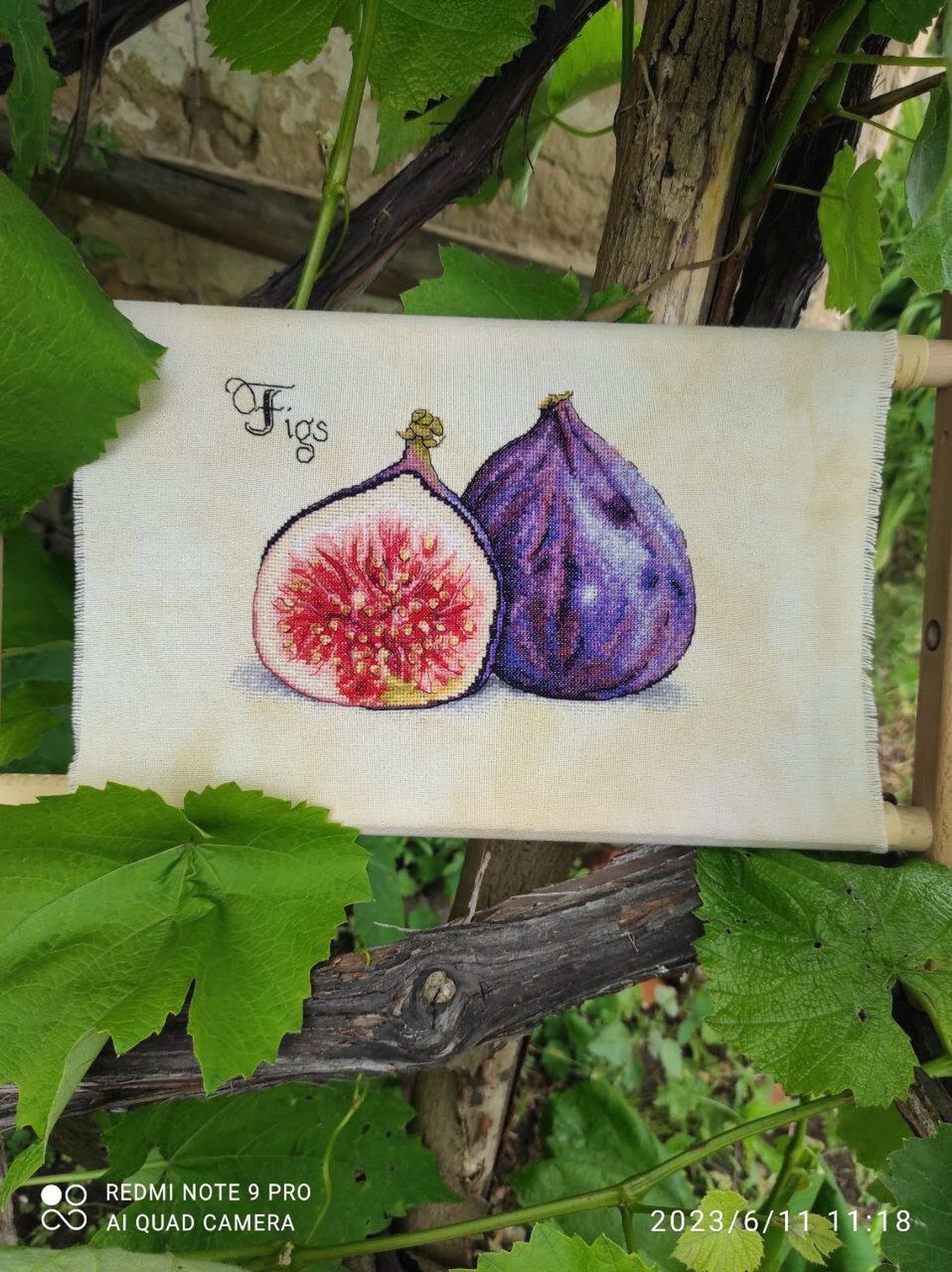 Realistic Fig Fruit Cross Stitch Pattern for Kitchen Decor - Digital ...