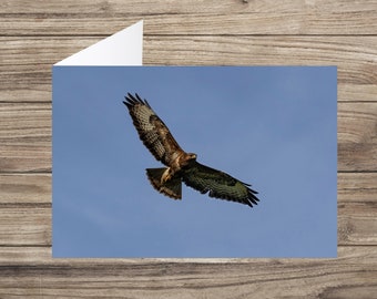 Bird of Prey Birthday Card | Etsy UK