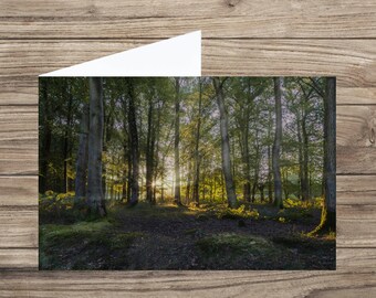 Bluebell Woodland Forest Blank Greeting Card Photography | Etsy UK