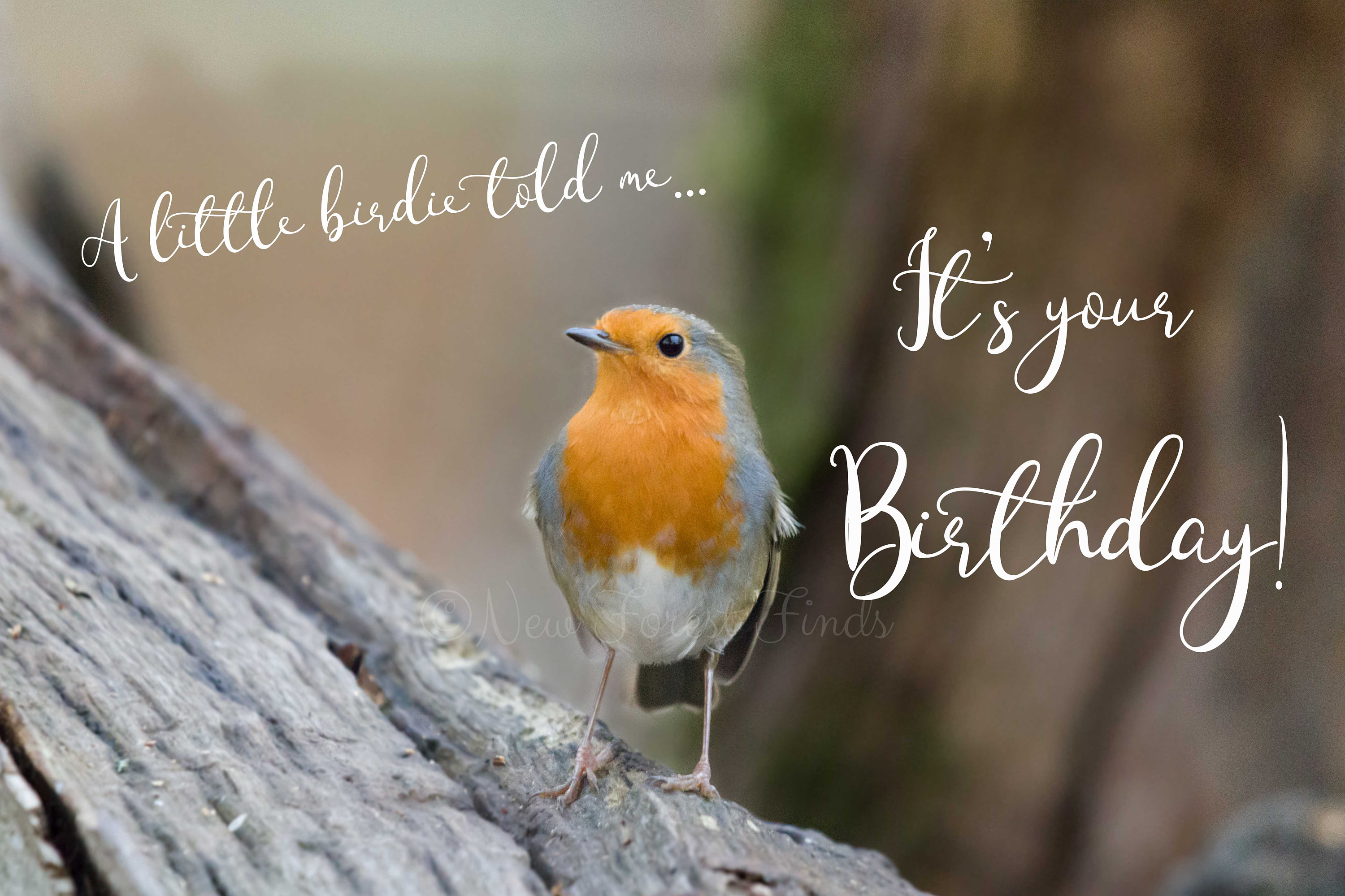 Robin Birthday Card A Little Birdie Told Me Its Your - Etsy UK