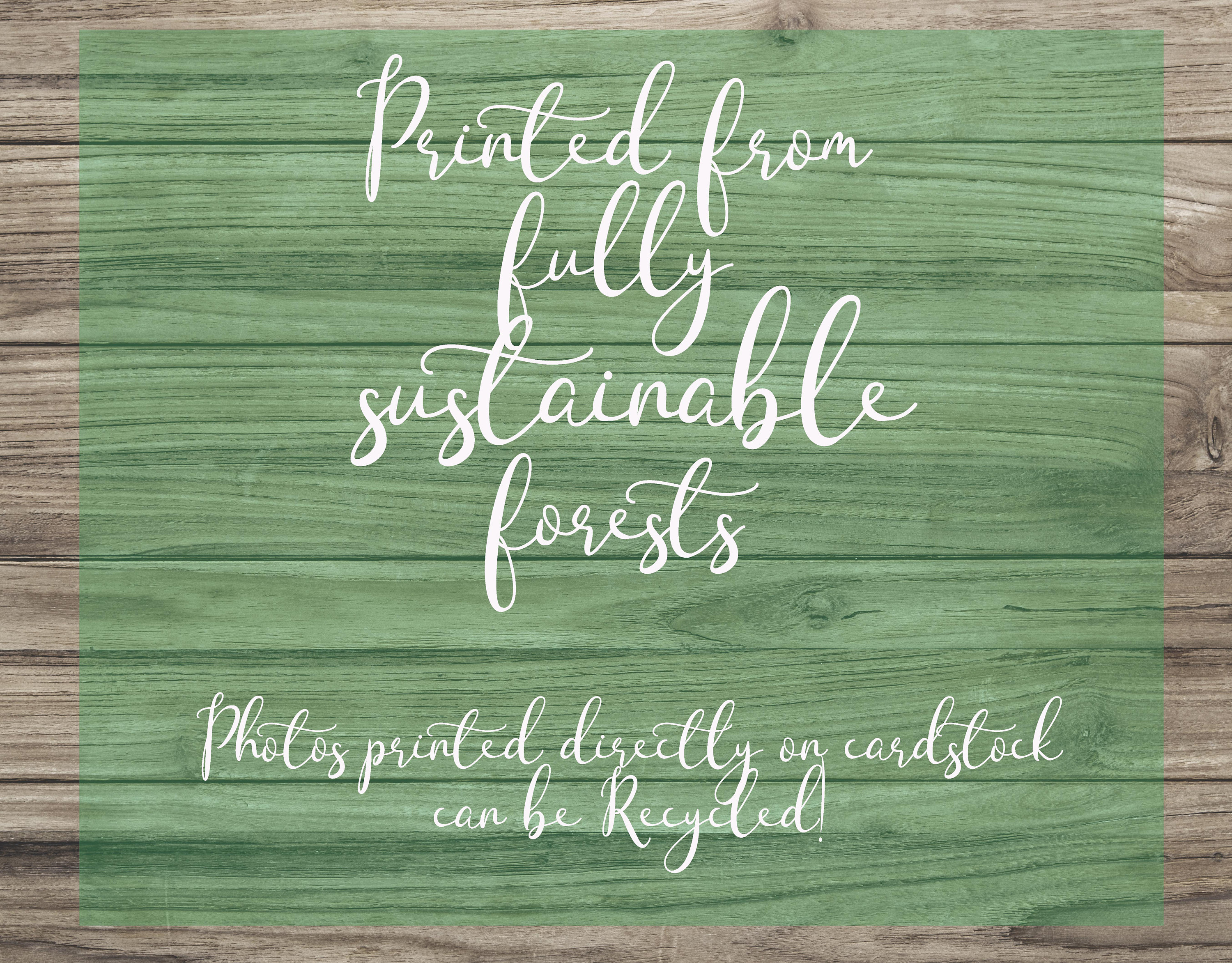 Bluebell Woodland Forest Blank Greeting Card Photography - Etsy UK