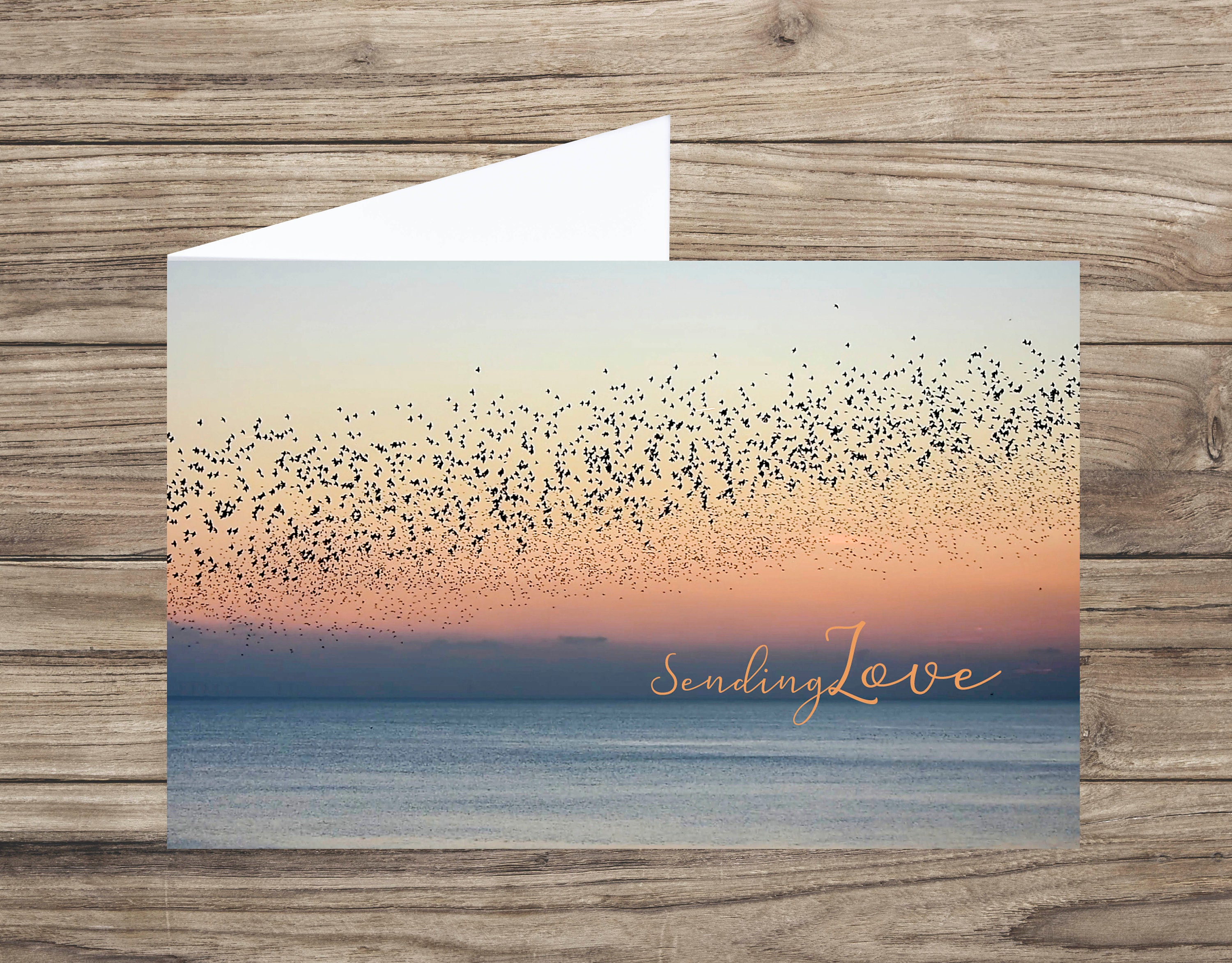 Sending Love Starling Thinking of You Card Get Well Soon - Etsy UK