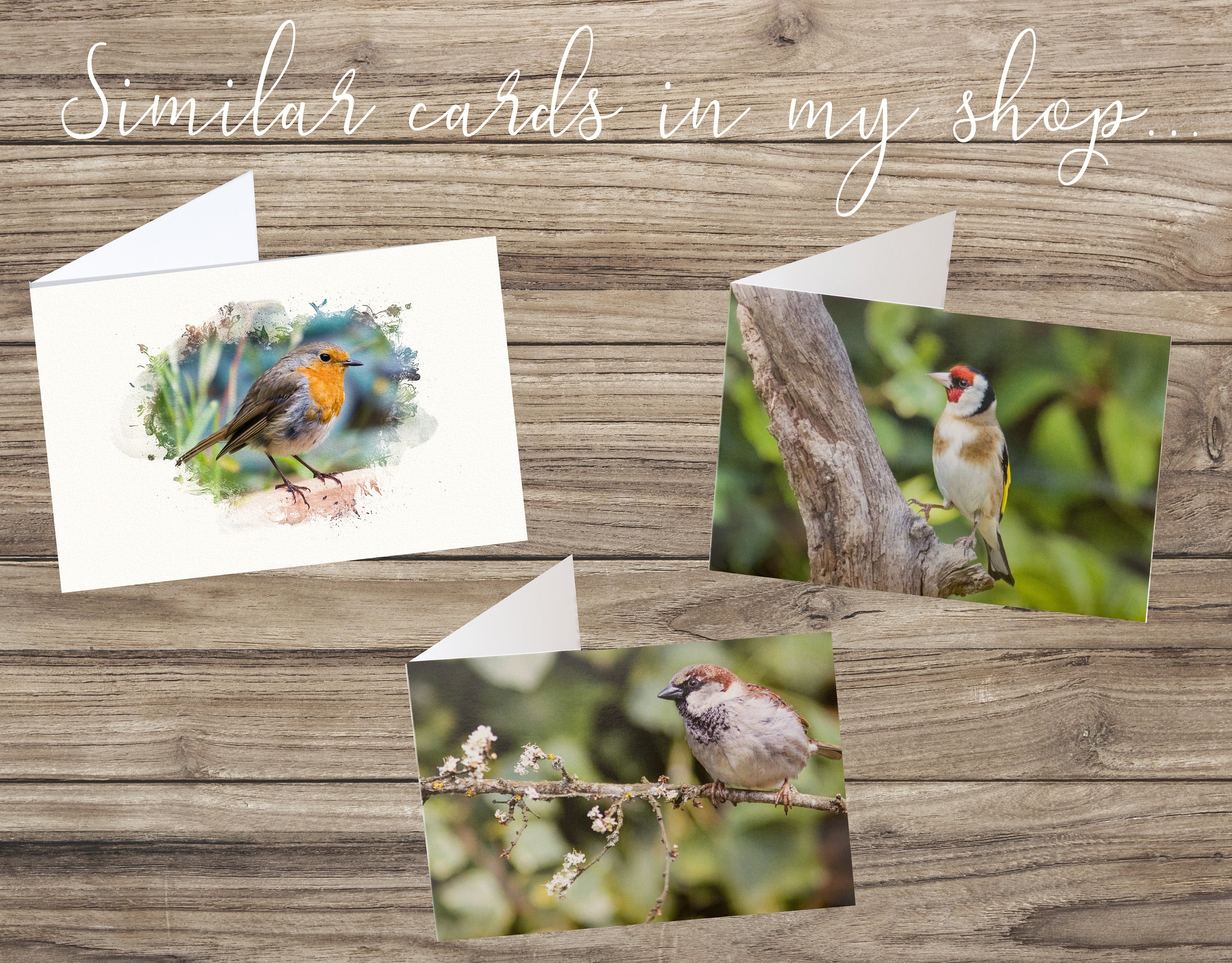 Puffin Card Flying Puffin Puffin Photo Card Blank Greeting Card Bird ...