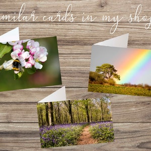 Forest Sunrise Card Blank Greeting Card Forest Photo Card New Forest ...