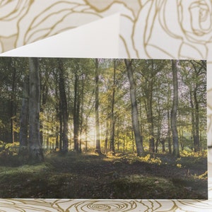 Forest Sunrise Card Blank Greeting Card Forest Photo Card New Forest ...