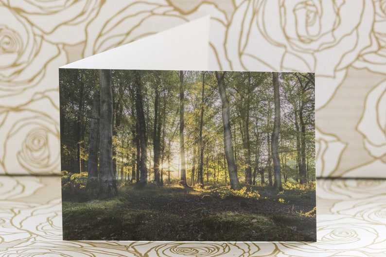 Forest Sunrise Card Blank Greeting Card Forest Photo Card - Etsy UK
