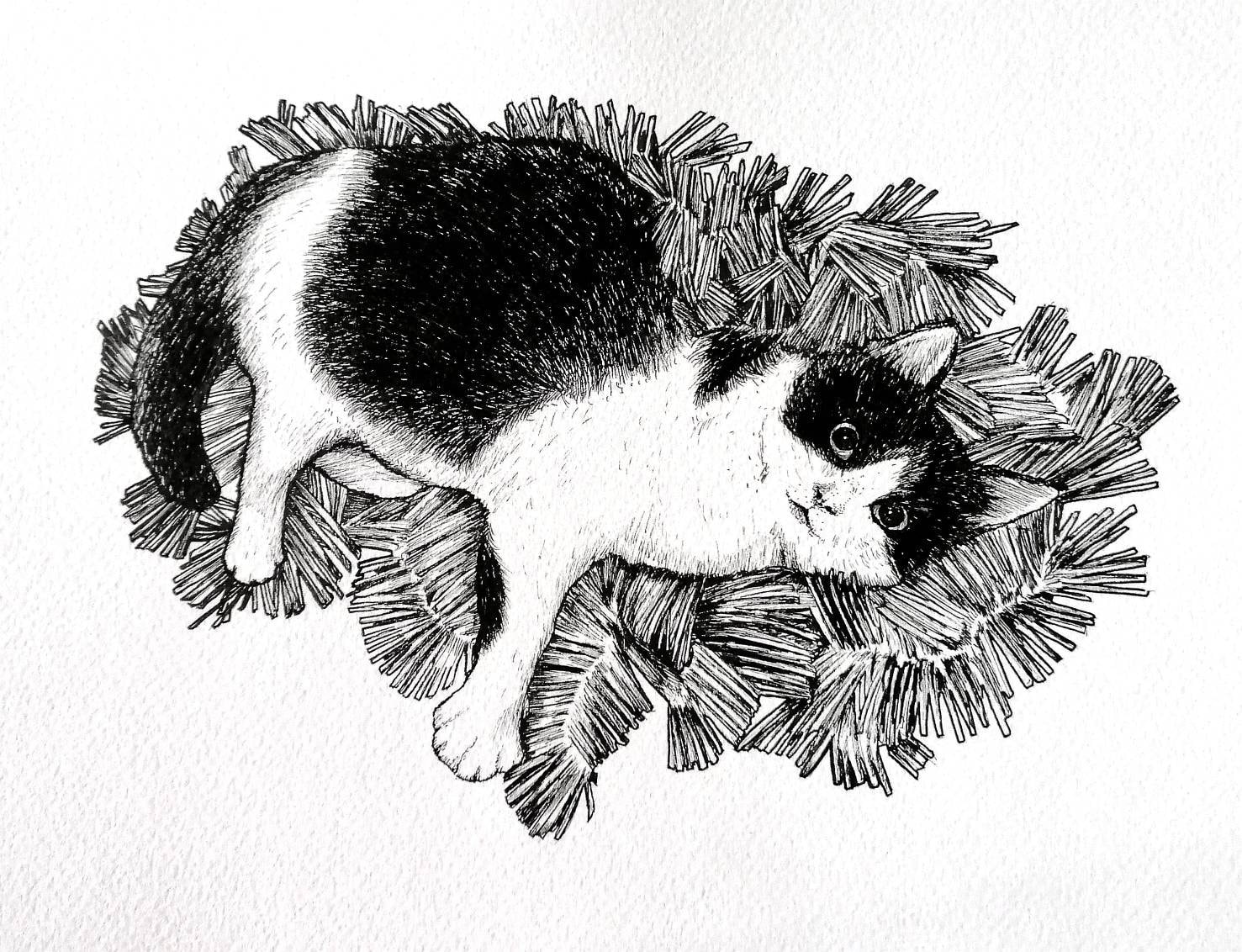 Cat With a Fish Drawing - Etsy UK