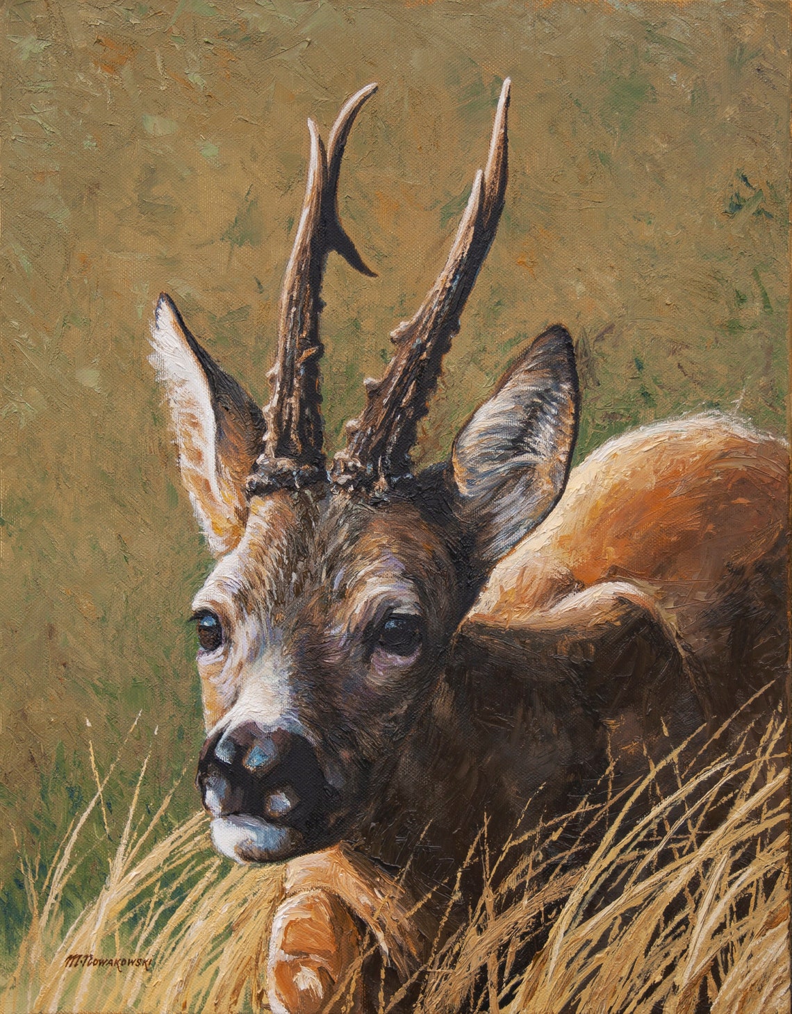 Portrait of a Buck - Original Oil Painting by Michael Nowakowski, Size ...