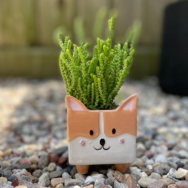 Corgi Planter - Etsy