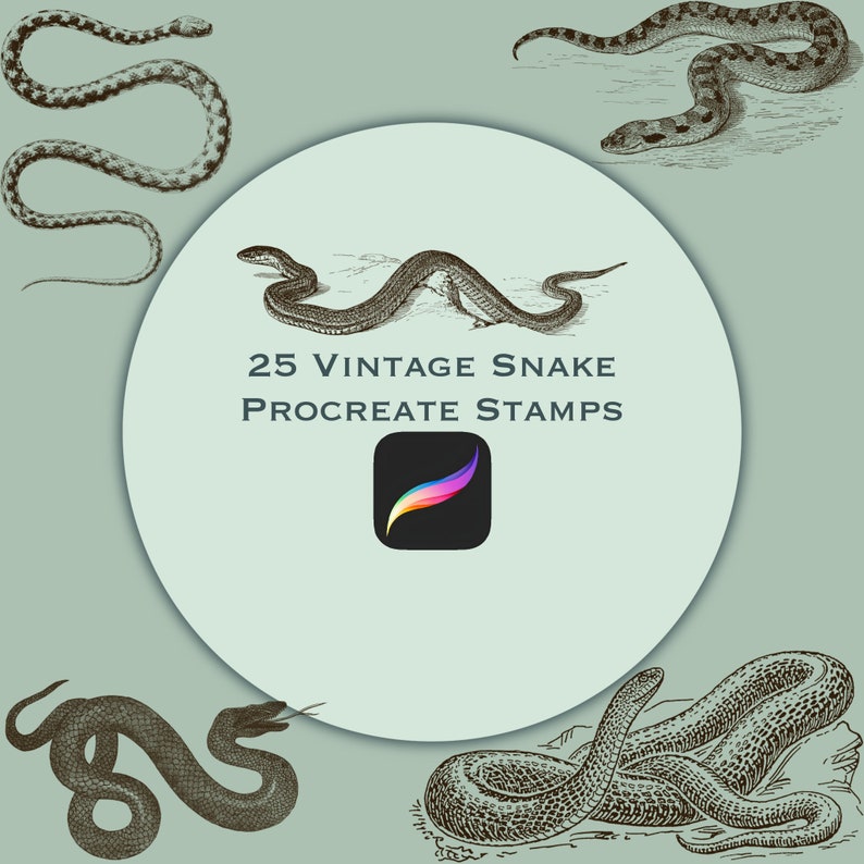 25 Vintage Snake Procreate Stamps - Digital Download, Doodles, Art ...
