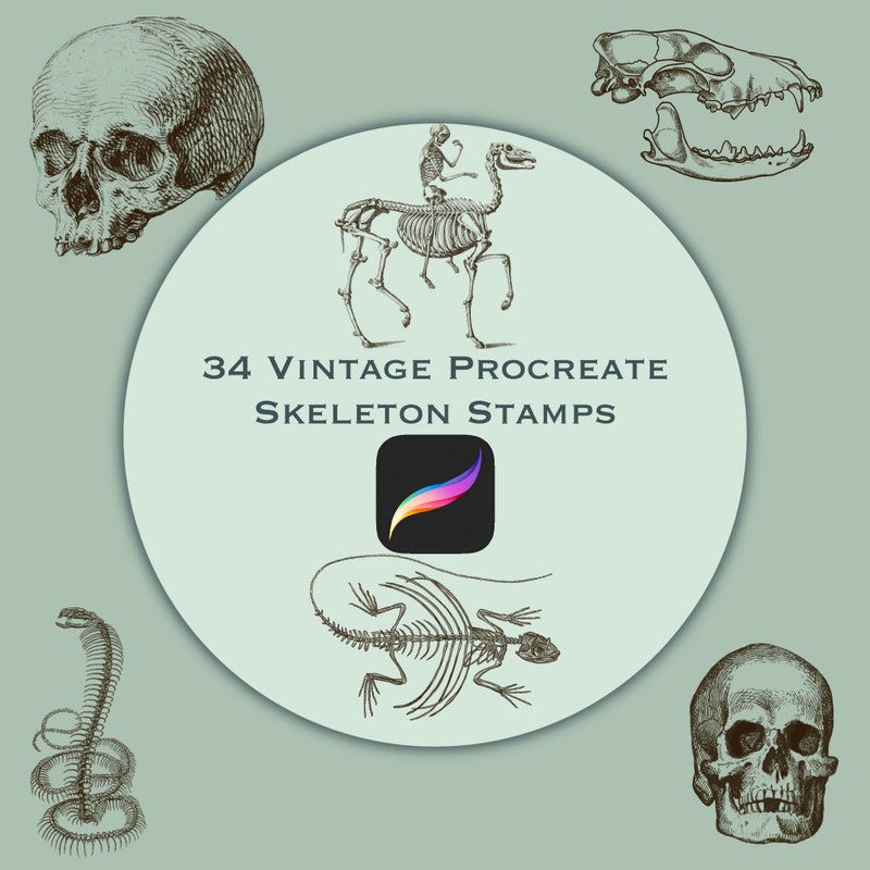 Skeleton Stamps - Etsy