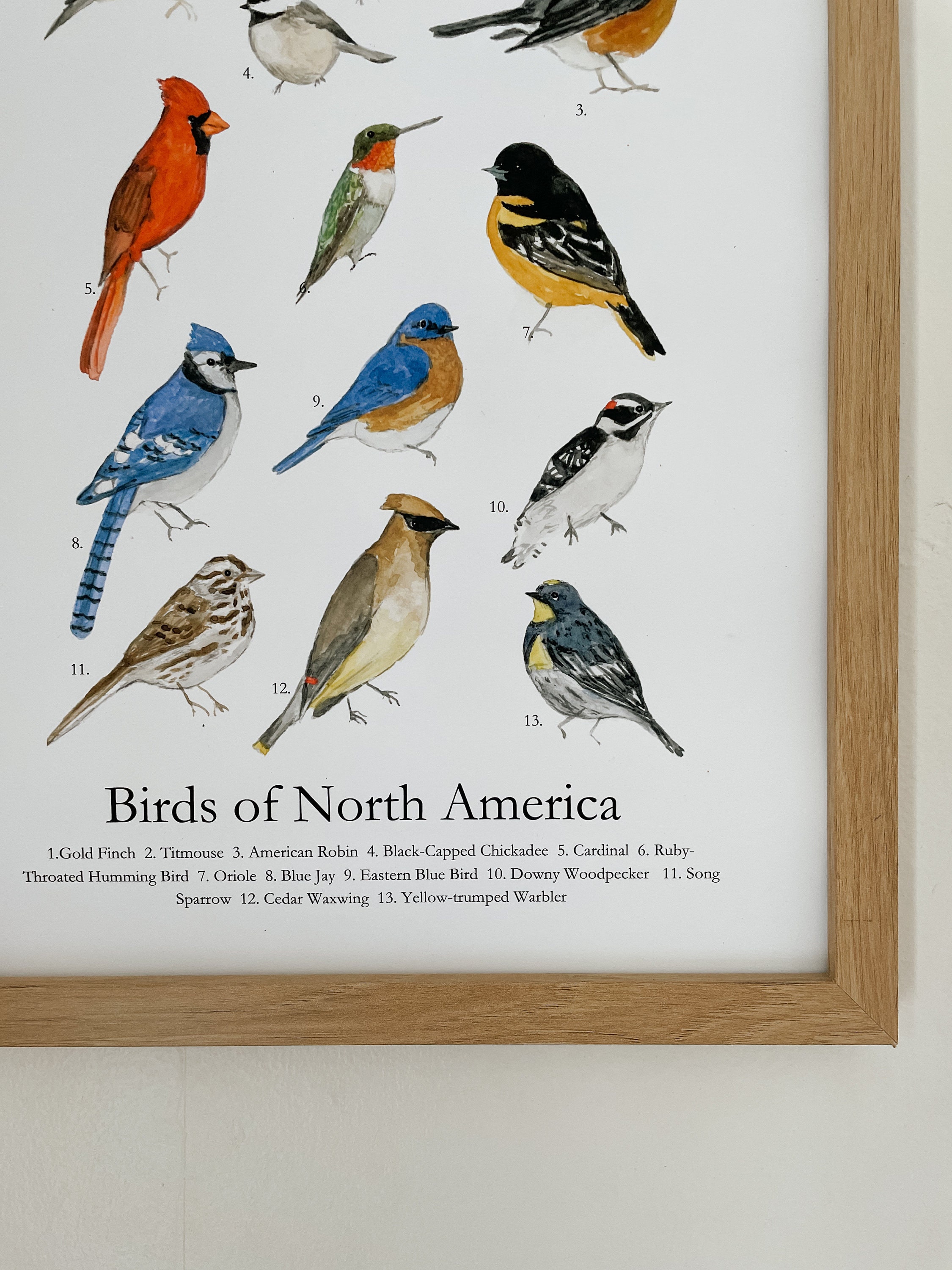 Woodland Animals Watercolor Print: North America Nature Art (11x14) - Etsy