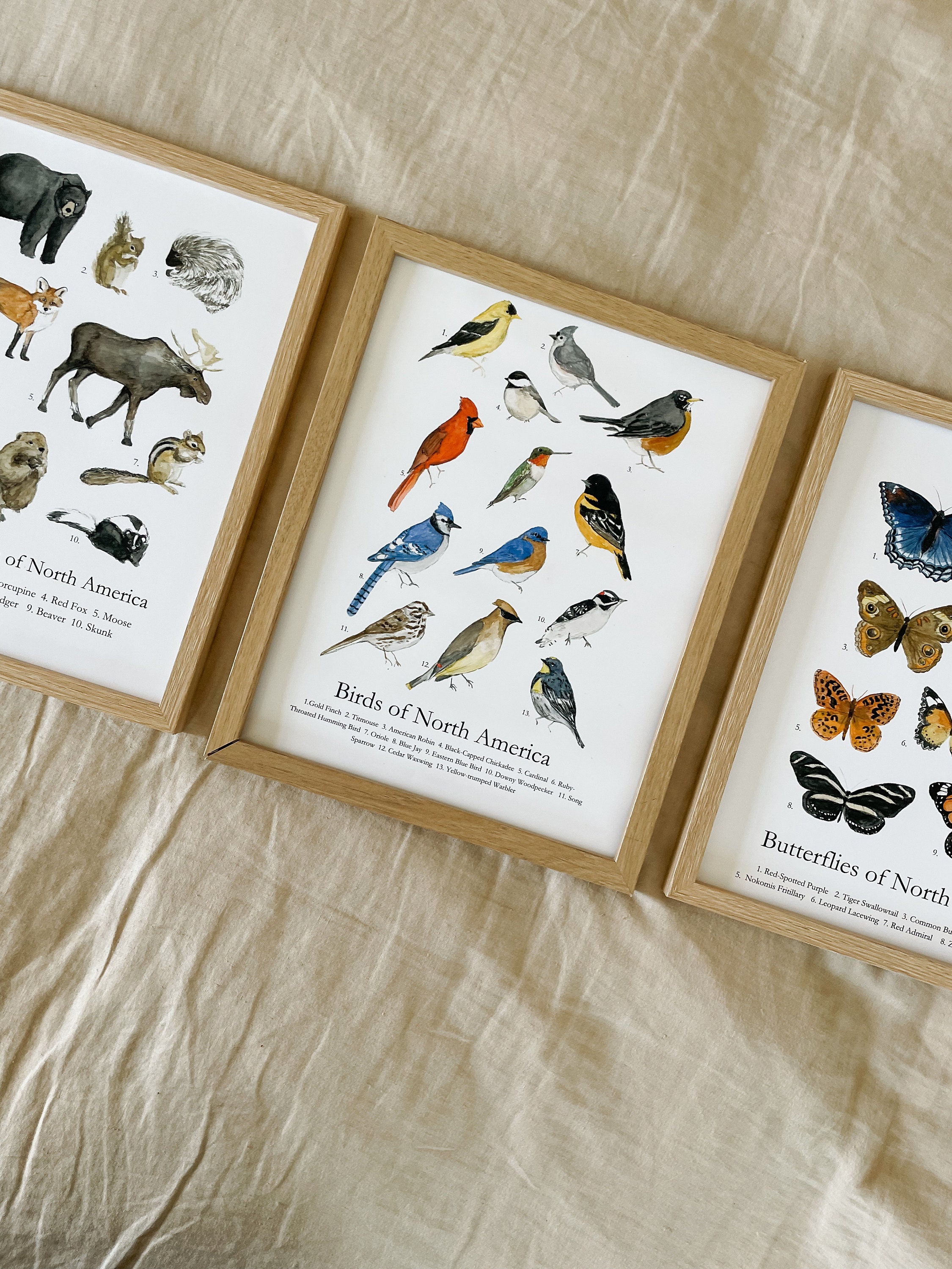 Woodland Animals Watercolor Print: North America Nature Art (11x14) - Etsy