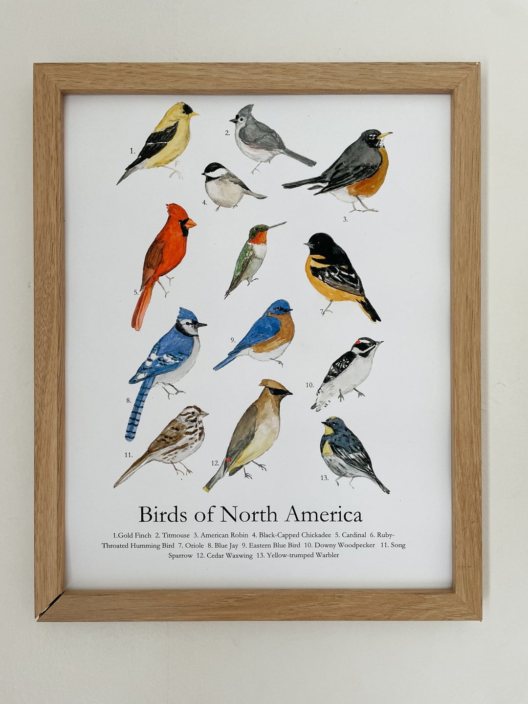 North American Bird Poster | Decorative Watercolor Identification ...