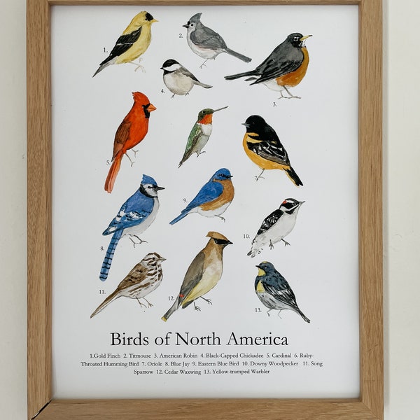 Bird Poster - Etsy