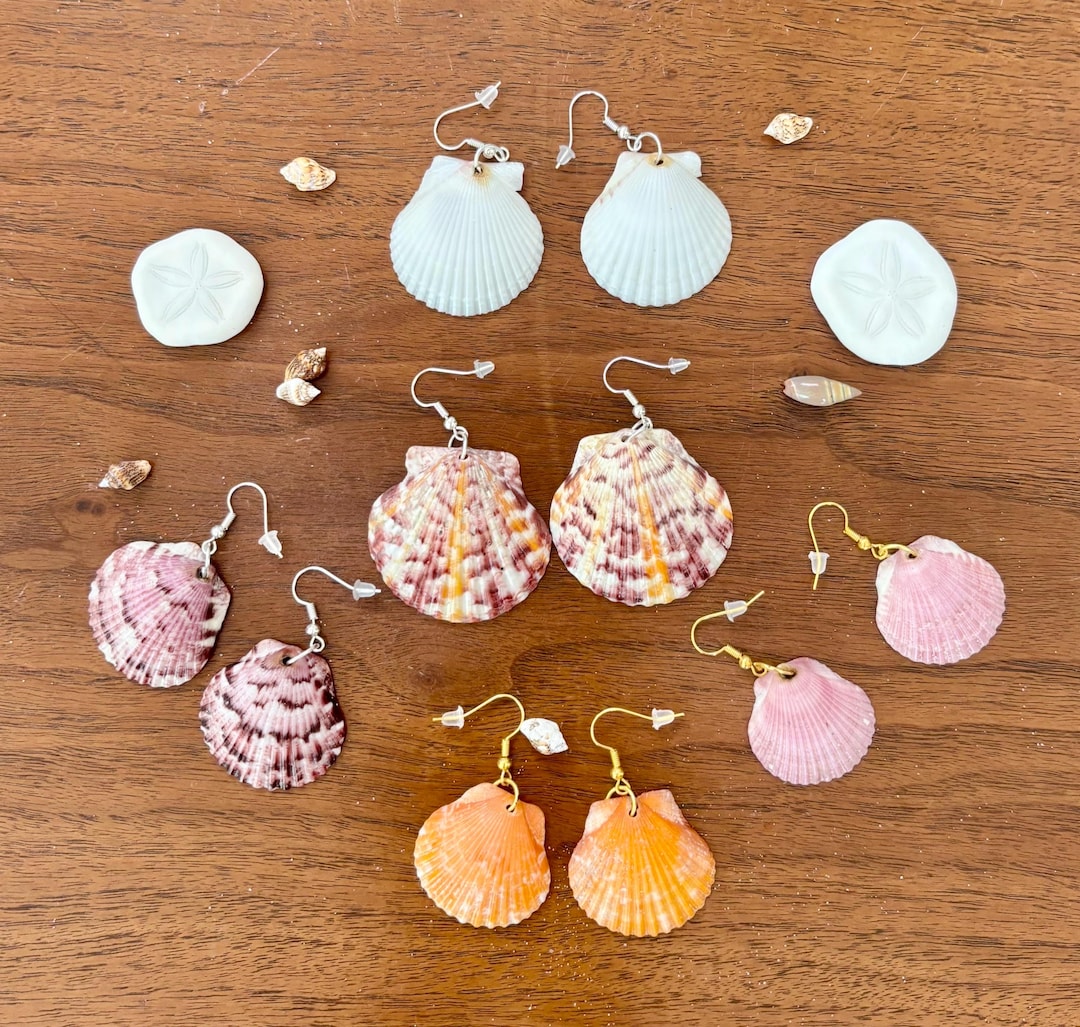 Calico Scallop Shell Earrings Sterling Silver Posts Sanibel Island - Etsy