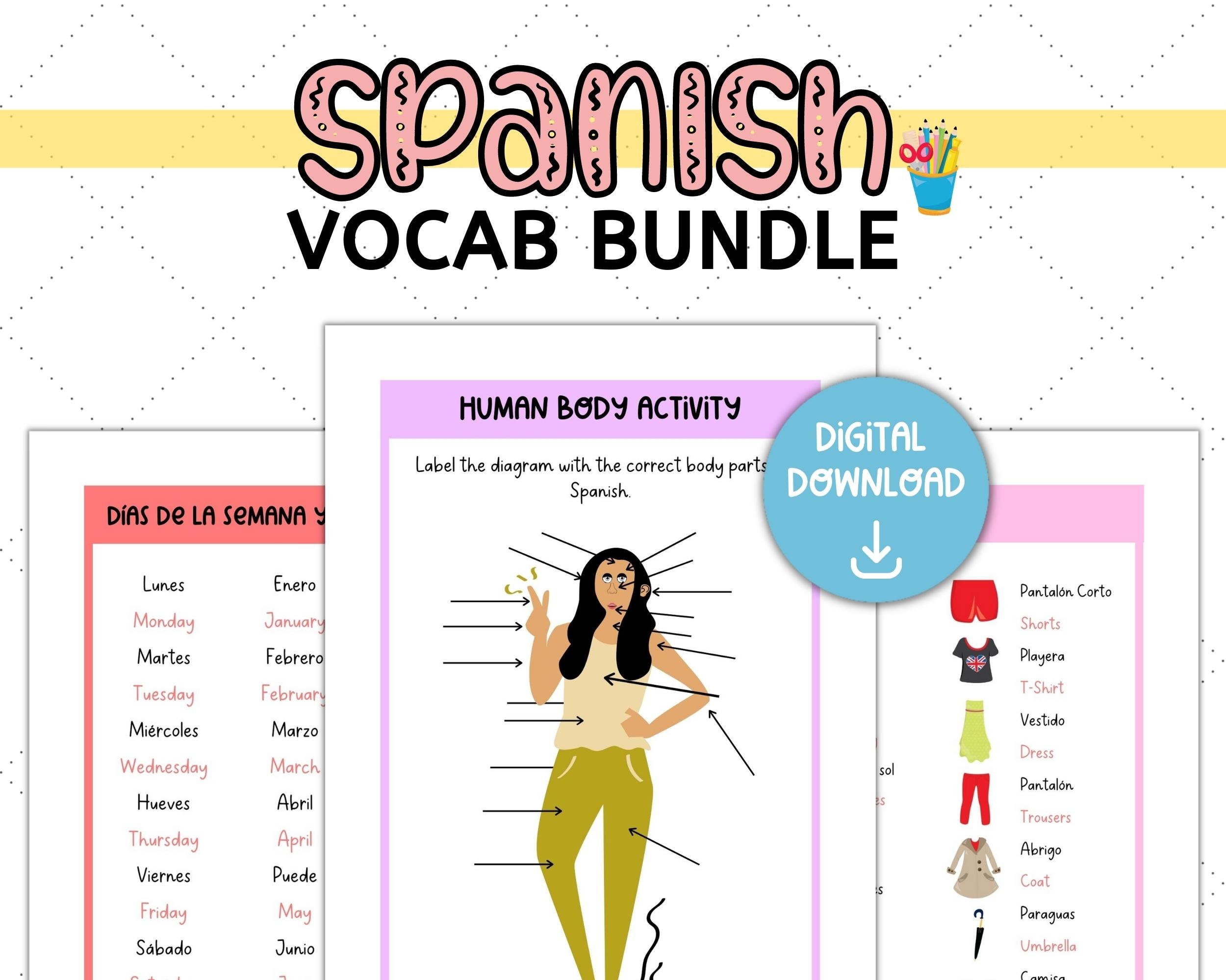 Spanish Worksheets Vocabulary
