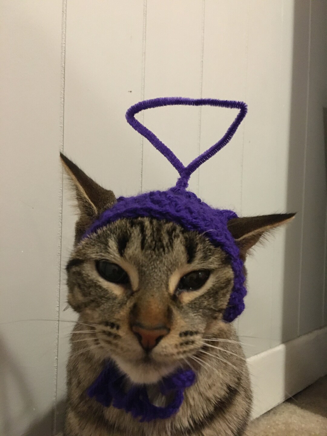 Teletubby Cat Hats tinky Winky - Etsy