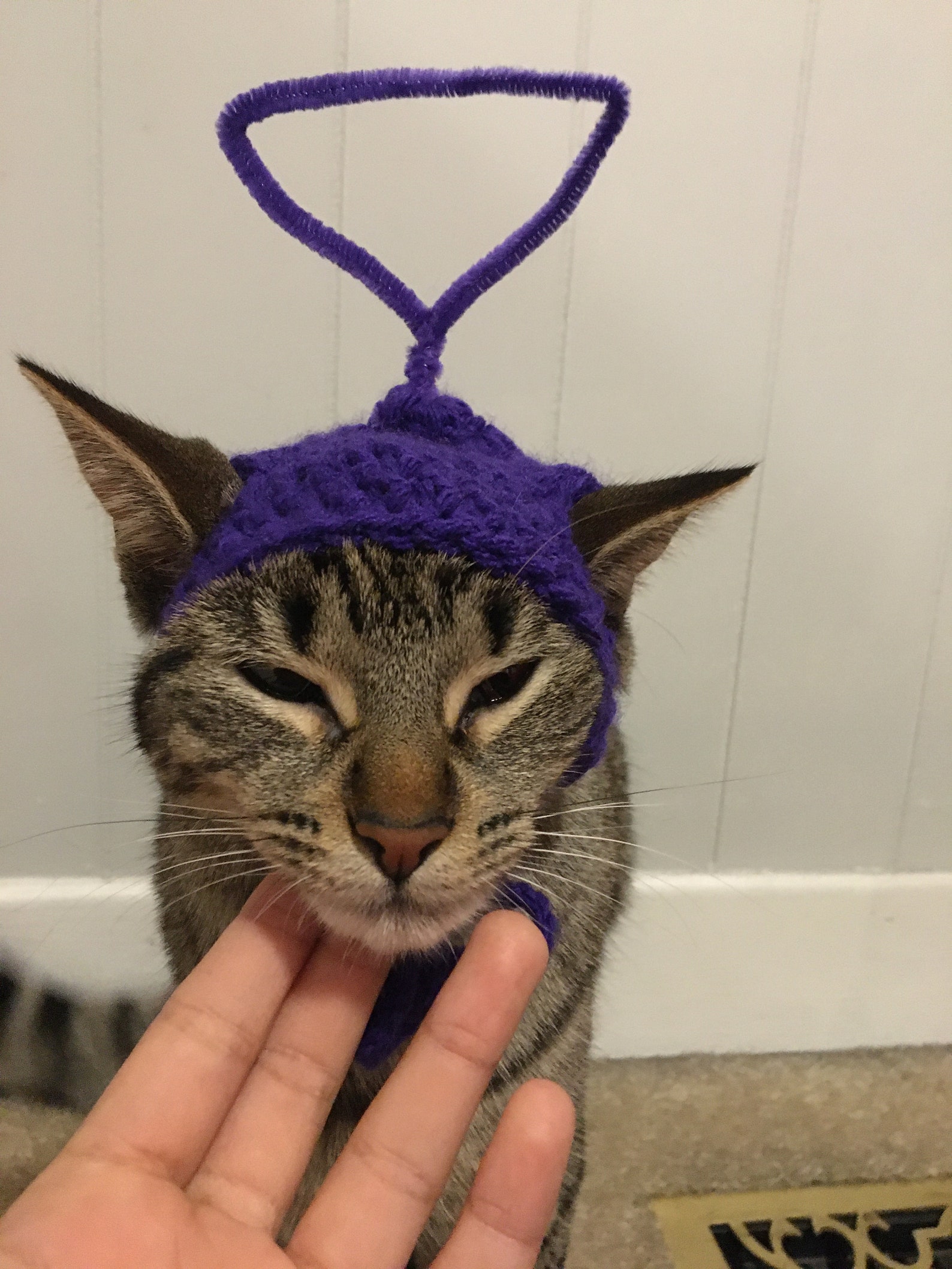 Teletubby Cat Hats tinky Winky - Etsy