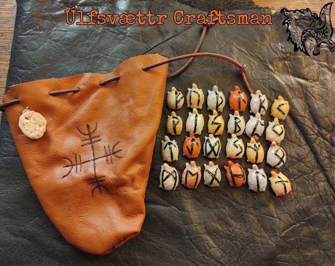 Rune Set, Turtle Runes, Spirit Animal, Guide, Coral Jasper, Fossil ...