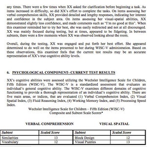 WISC-V Report Template for School Psychologists - Etsy