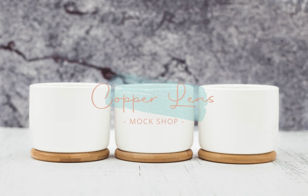 Succulent Pot Mockup, White Ceramic Pot Mockup, Plant Pot Mockup, Small ...