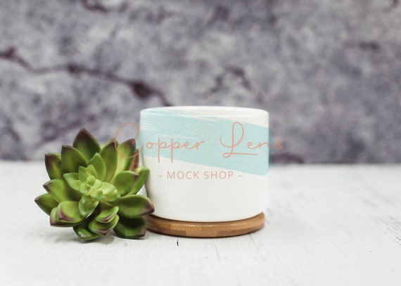 Succulent Pot Mockup White Ceramic Pot Mockup Plant Pot | Etsy