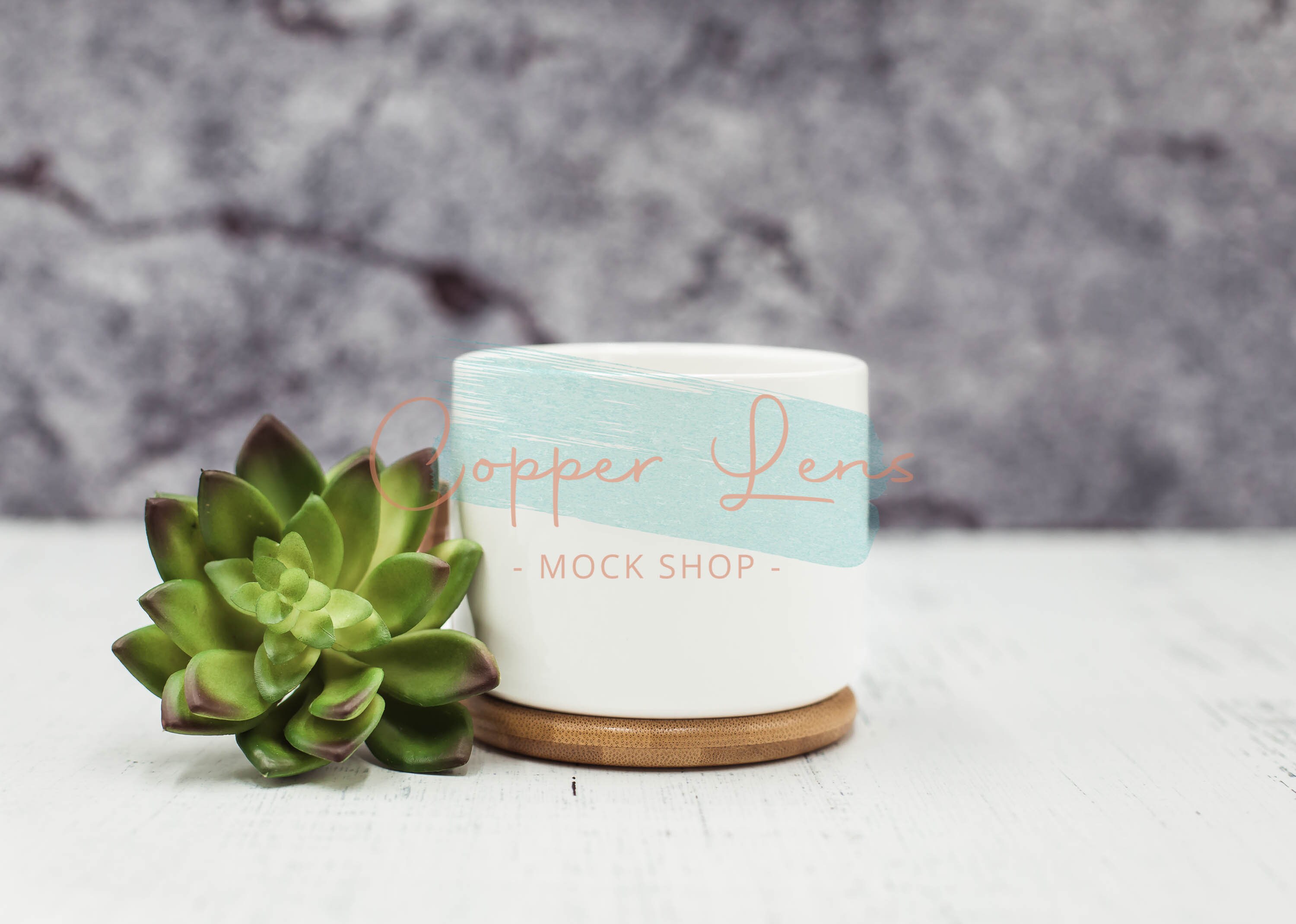 Succulent Pot Mockup White Ceramic Pot Mockup Plant Pot - Etsy