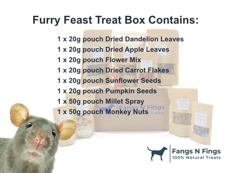 Furry Feast Small Animal Treat Box With Apple & Dandelion - Etsy UK