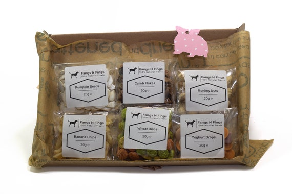 Tasty Tidbits Small Animal Snack Box - Etsy