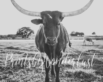 Cow Print, Digital Download, Longhorn, Cattle, Photography, Canvas ...