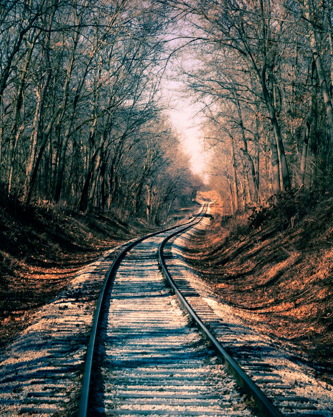 Railroad Tracks-fall Day, Warm Colors, Train Art, Railroad Wall Decor ...