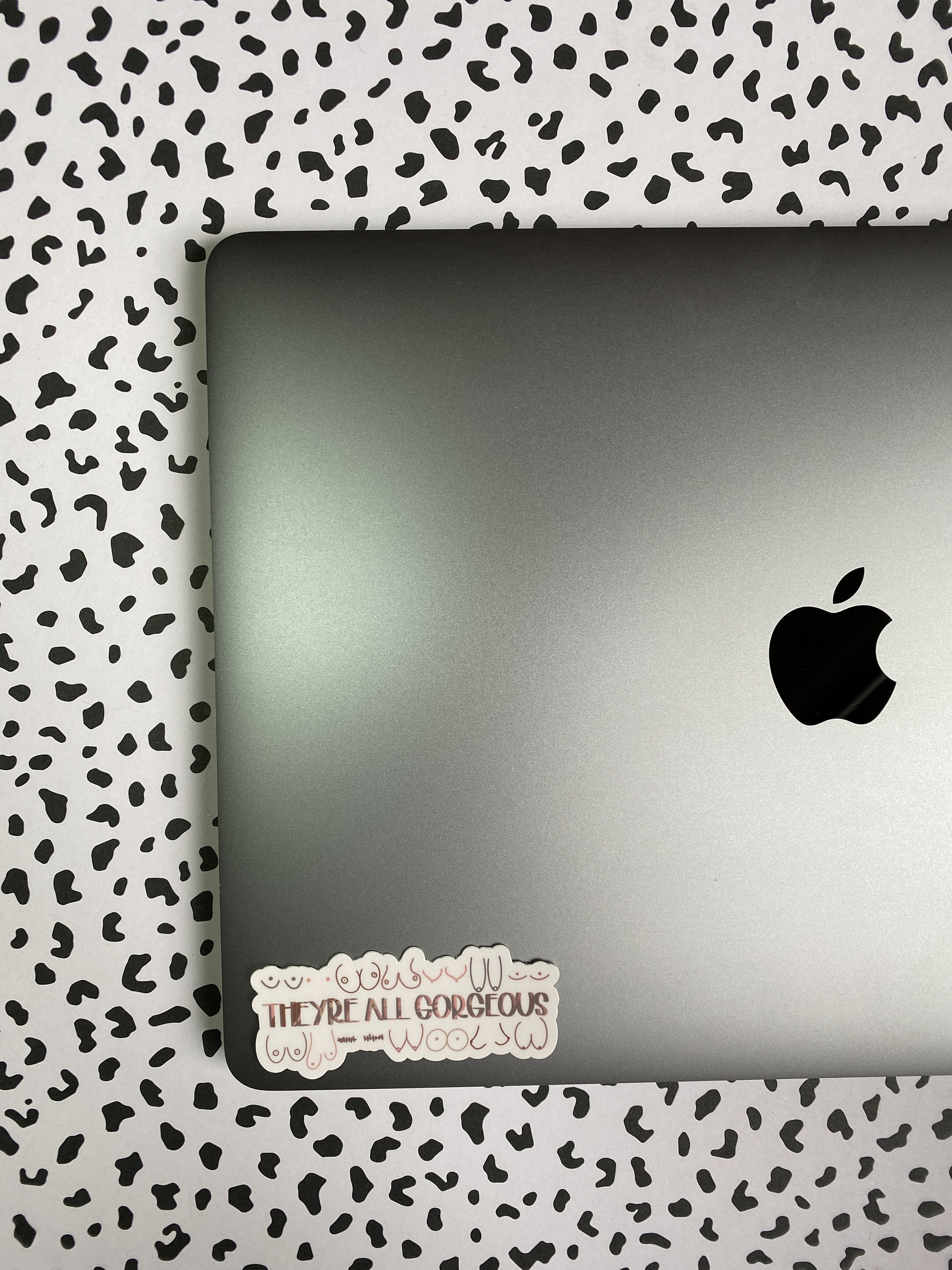 They're All Gorgeous Boobies Vinyl Sticker Laptop Water - Etsy UK