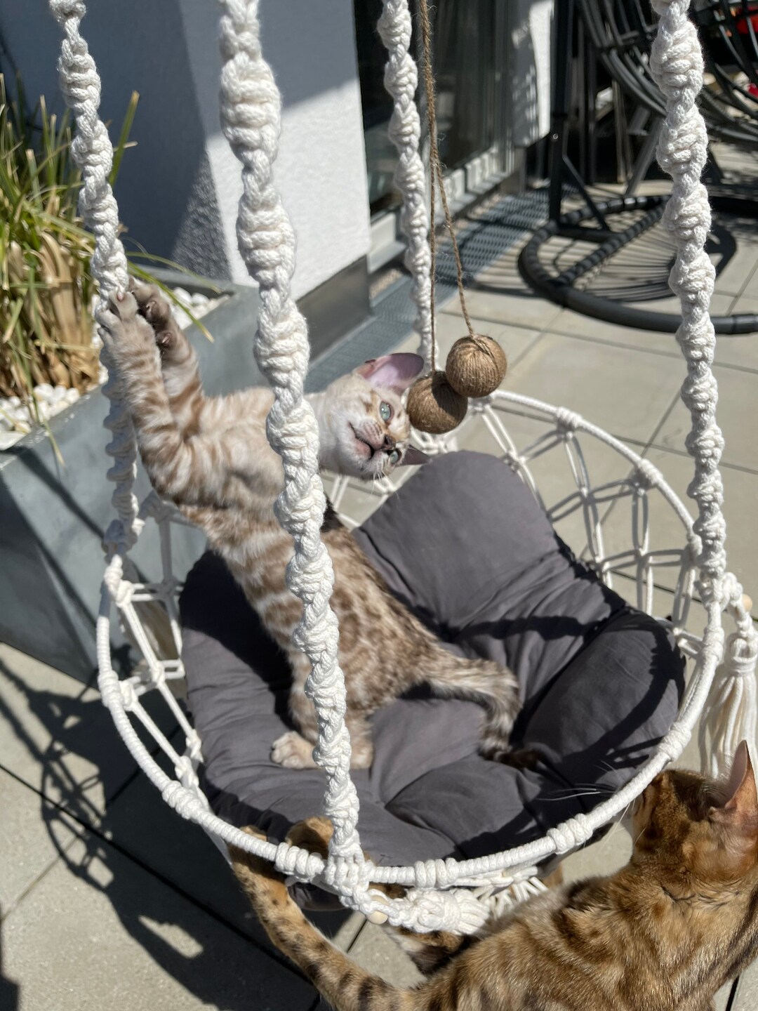 Macramé Cat Basket and Dog Basket, Cat Bed, Dog Bed, Cuddle Basket, Cat ...