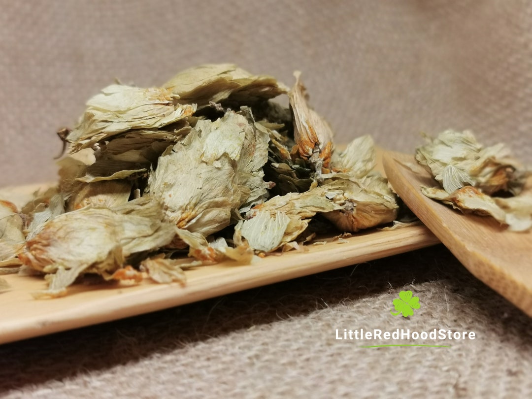 Hops Flower | Dried Hops for Herbal Tea, Brewing, and Crafting - Etsy