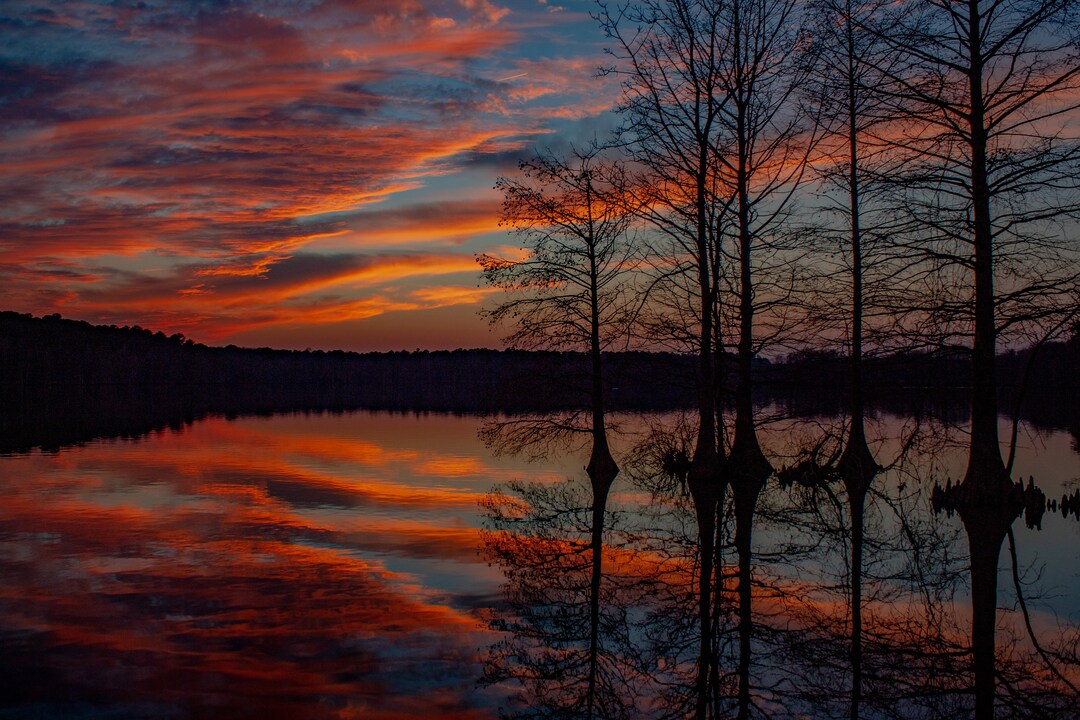 Stumpy Lake Sunset - Etsy