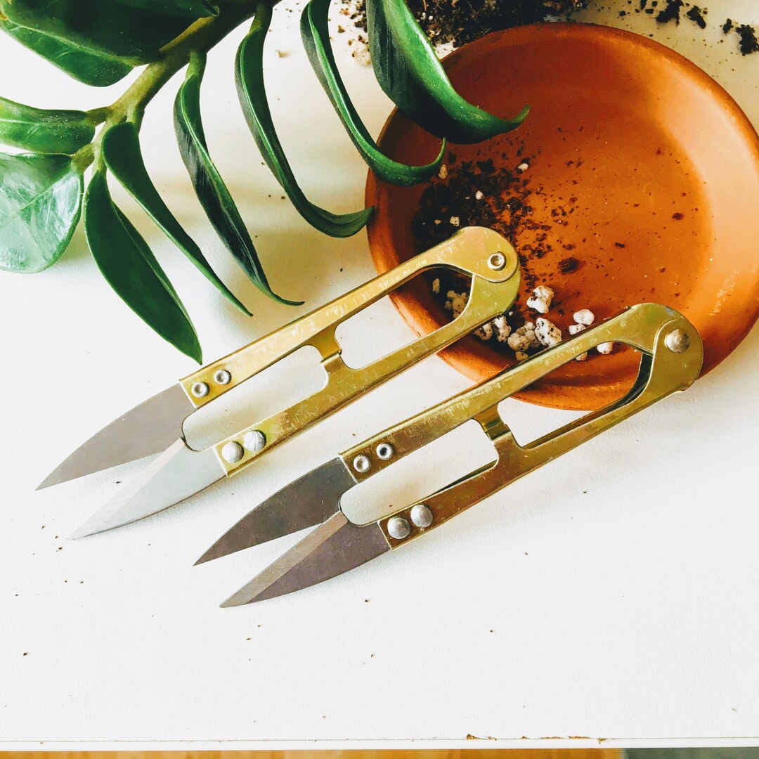 Small Pruning Shears for Houseplant, Plantcare Tool | Bonsai Scissors ...