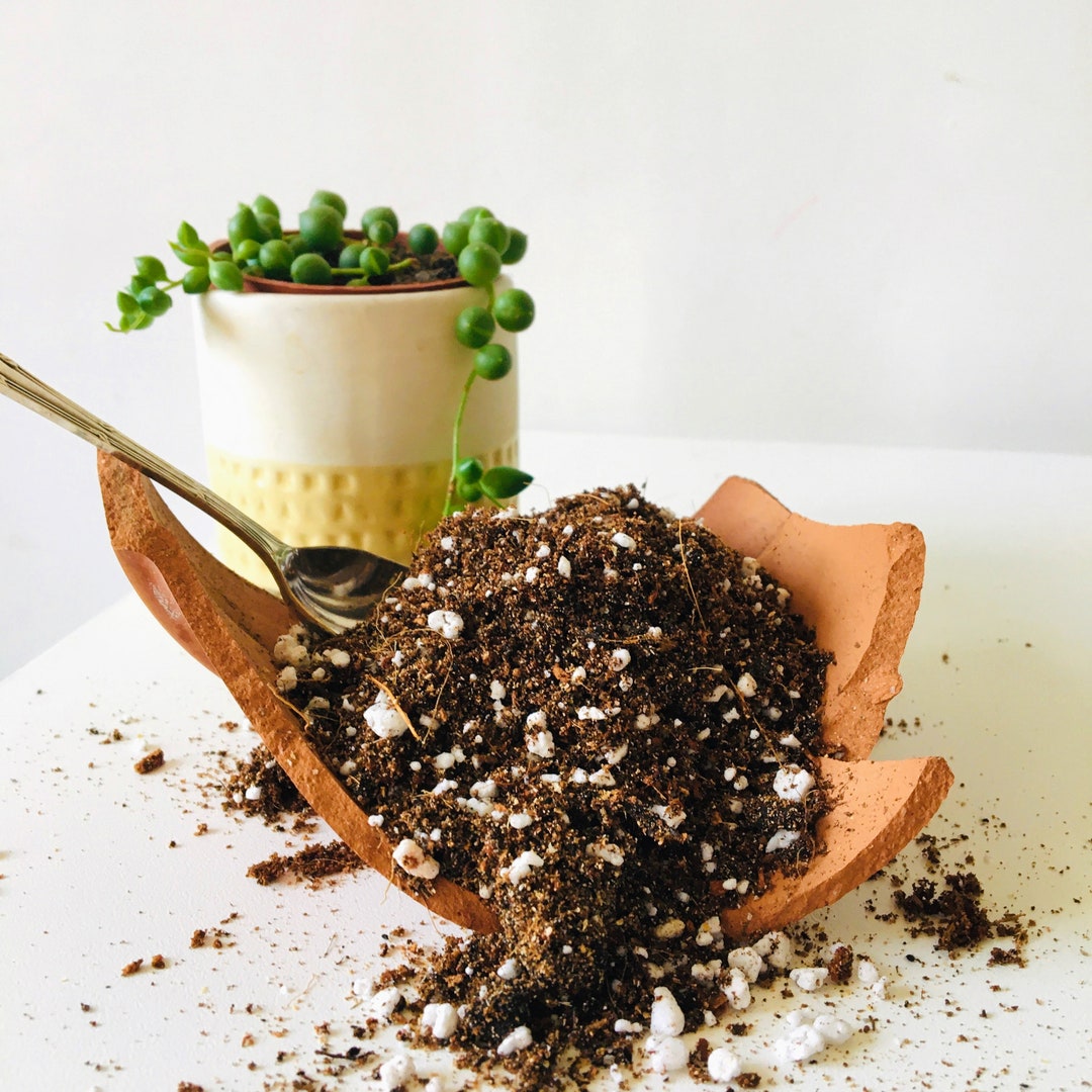 Enriched Soil Mix for Houseplants With Coco Peat, Orchid Bark, Perlite ...