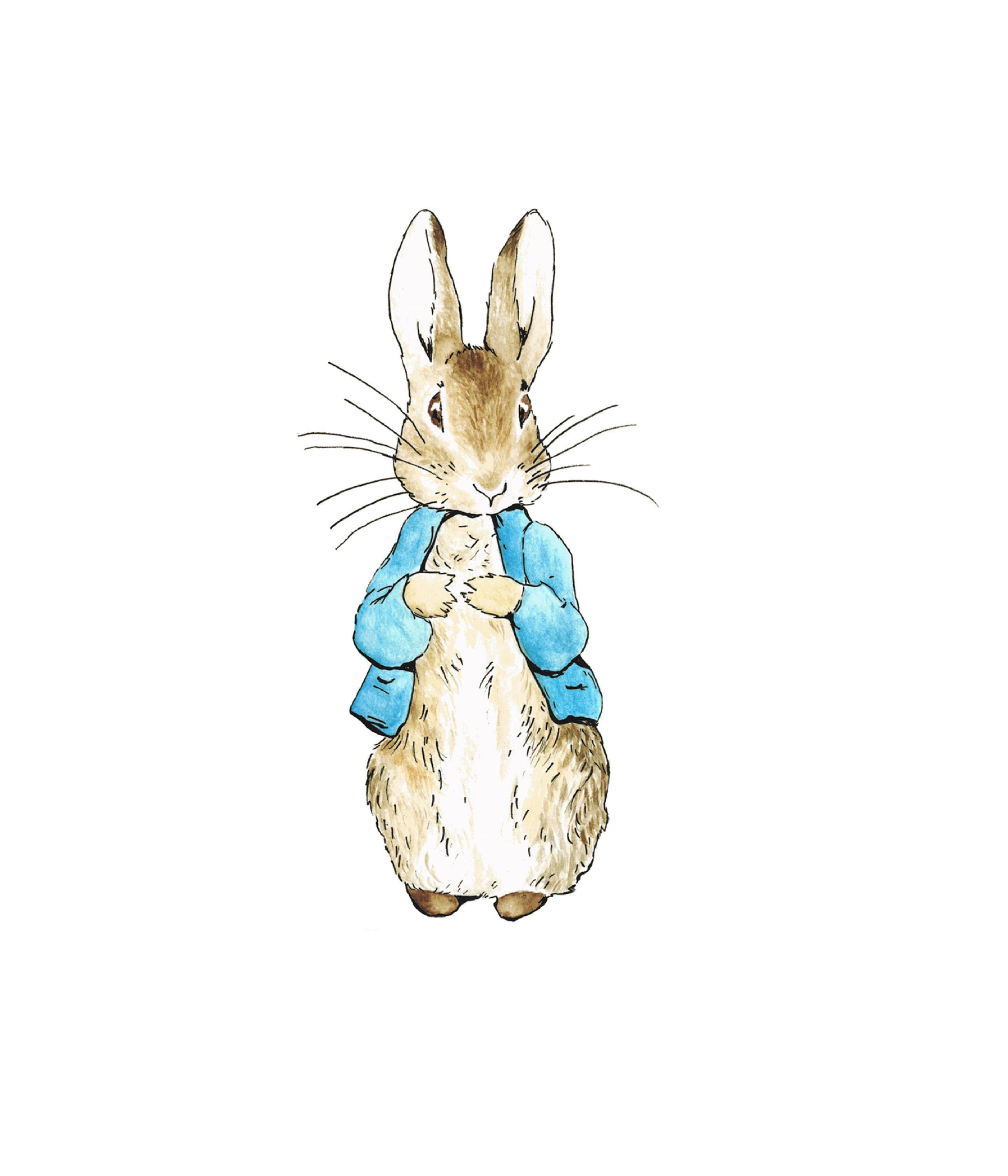 Peter Rabbit Set of 3 Nursery Prints | Etsy