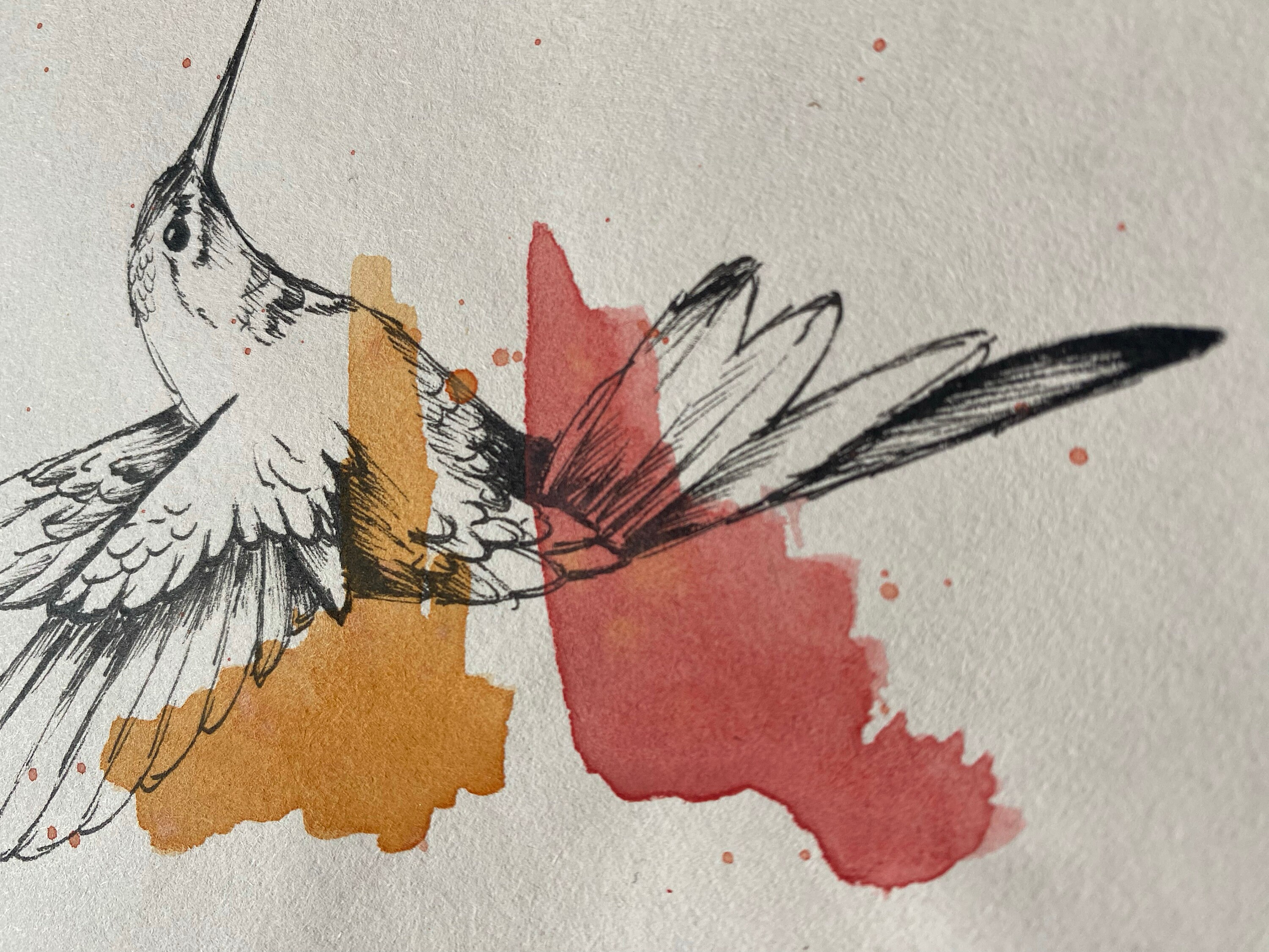 Drawing With Watercolor Highlights and Sprinkles - Etsy
